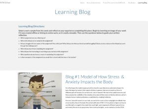 Post-Lesson Reflection: What Do Students Think They Learned? - Dr ...