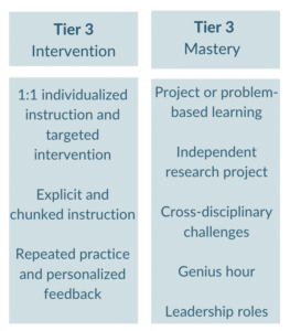 MTSS in Action: Designing Inclusive Tiered Instruction - Dr. Catlin Tucker